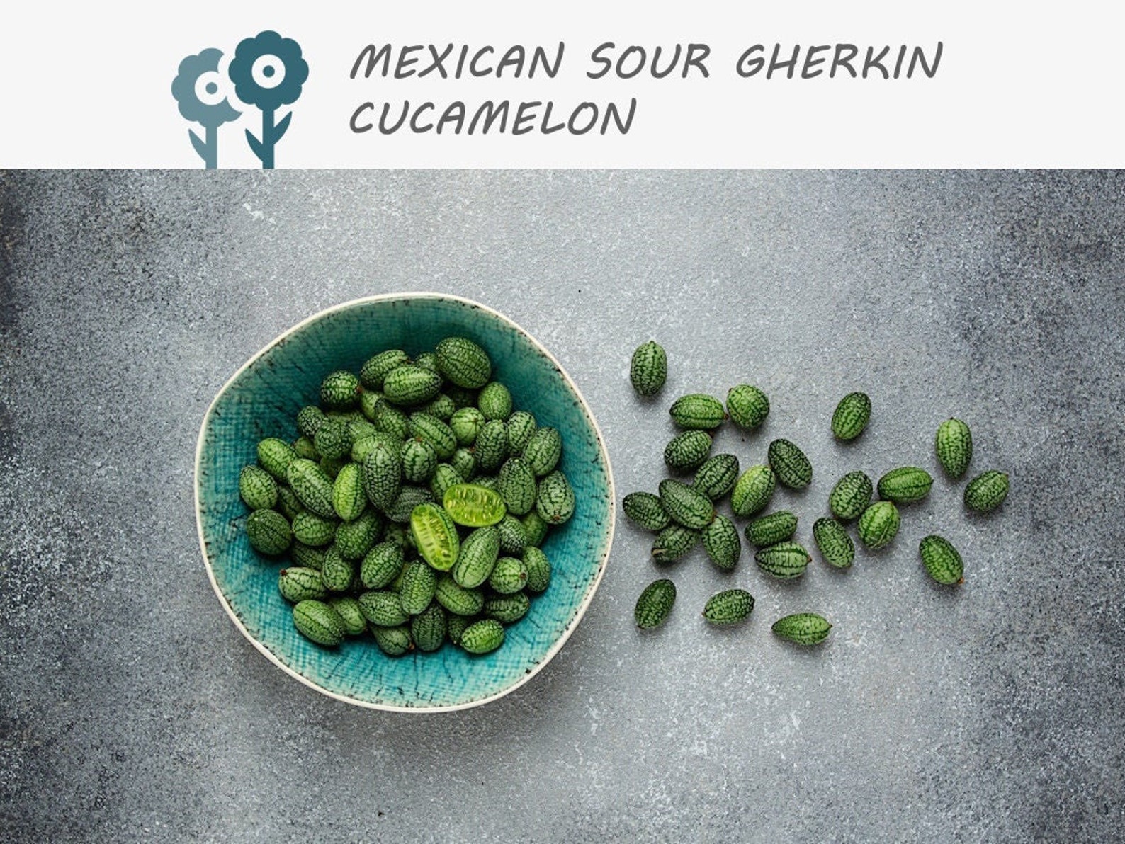 Mexican Sour Gherkin - 20 Seeds - Cucamelon, Mouse Melon, Small ...