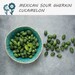 Mexican Sour Gherkin - 20 Seeds - Cucamelon, Mouse Melon, Small ...