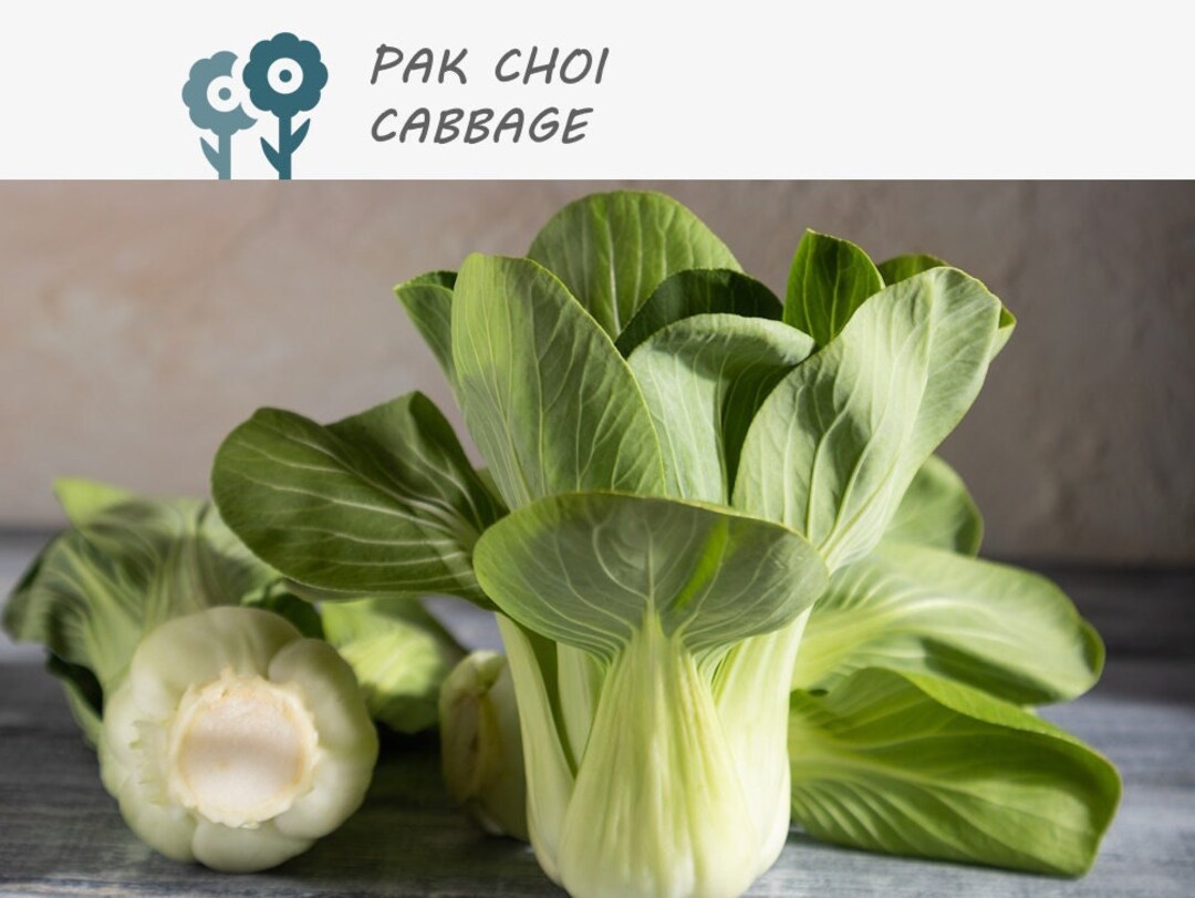 Pak Choi - 250 Seeds - Chinese Cabbage Vegetable Seeds, Non-gmo ...