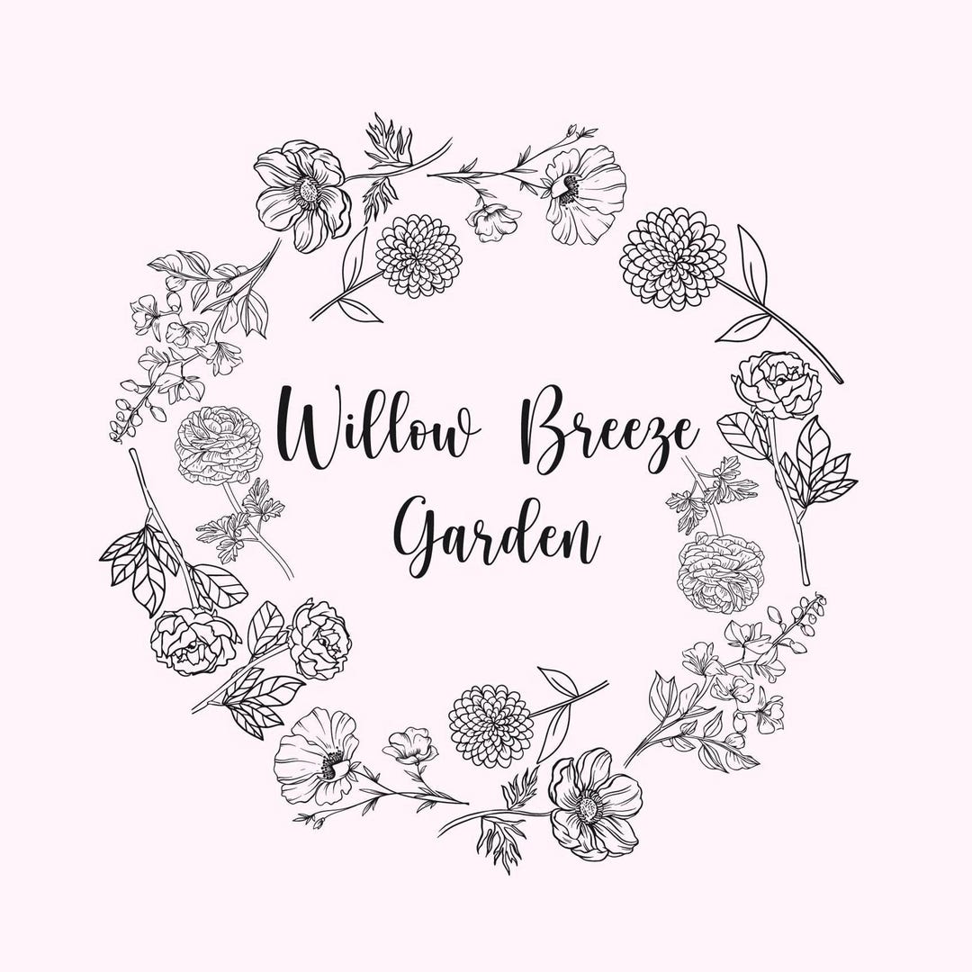 Bloomquist Alan Dahlia Tuber - Etsy