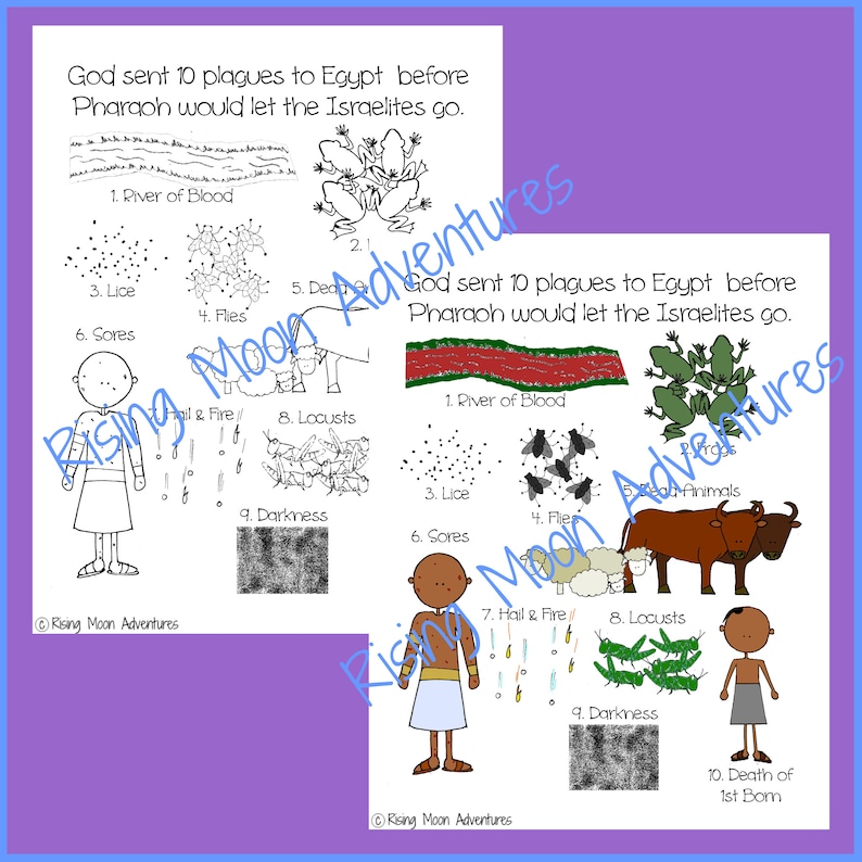 Plagues of Egypt Coloring Page and Colored Display Page Download - Etsy