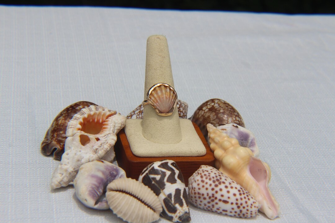 14k Gold Filled Sunrise Shell Ring Size 9.5 - Etsy
