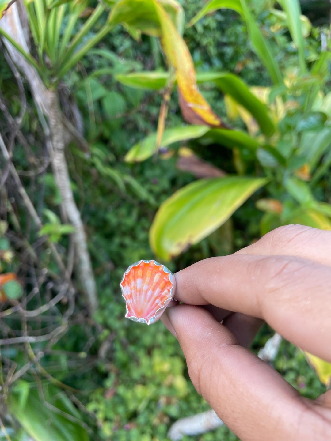 Sterling Silver Orange Sunrise Shell Ring - Etsy