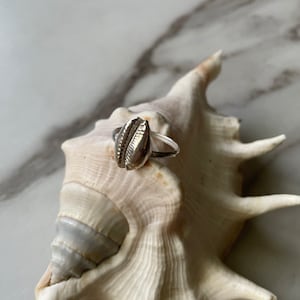 Sterling Silver Cowrie Seashell Rings - Etsy