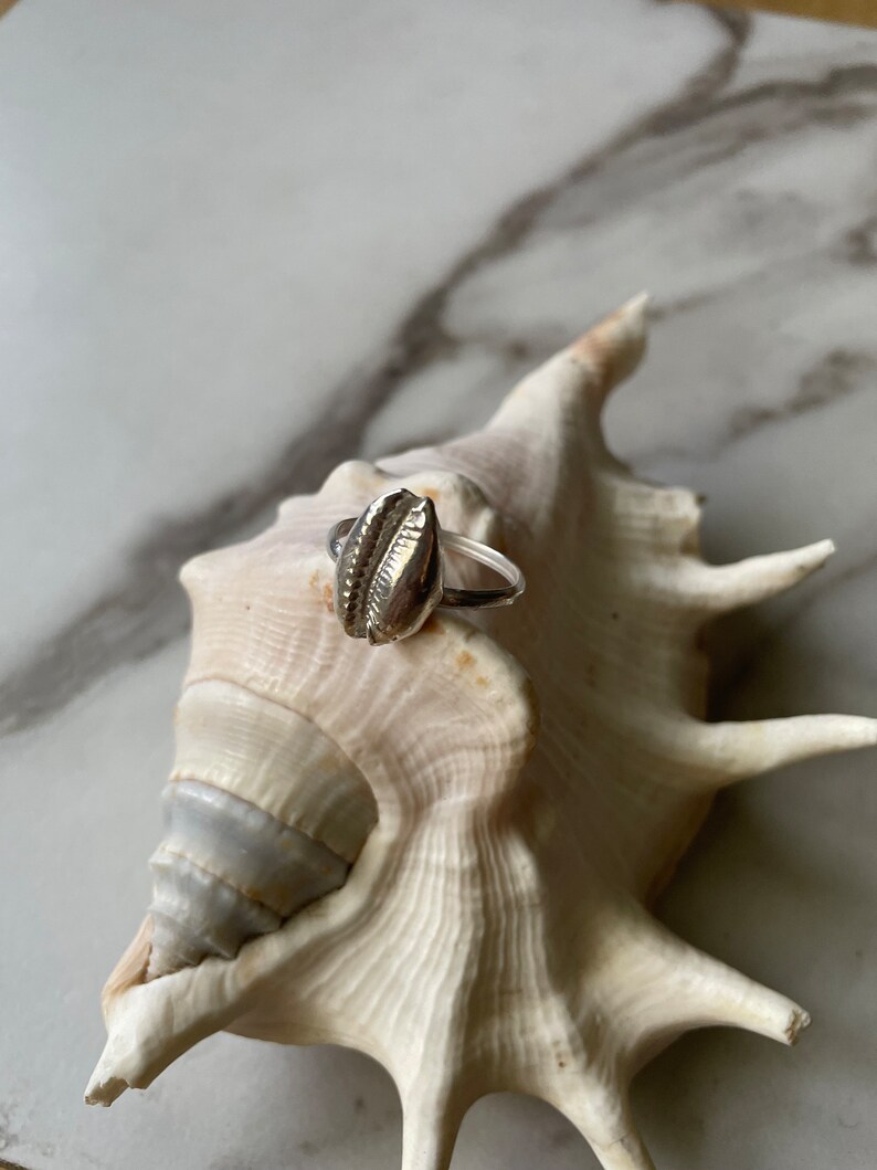 Sterling Silver Cowrie Seashell Rings - Etsy