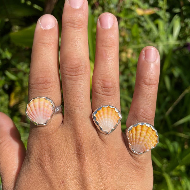 Silver Seashell Ring - Etsy