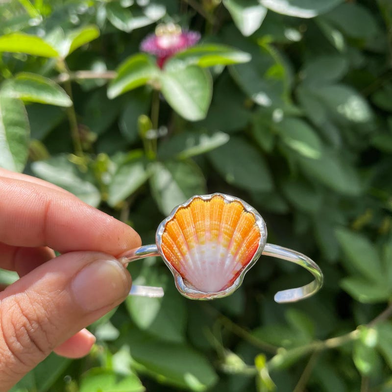 Sunrise Shells - Etsy