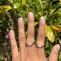 Sunrise Shell - Etsy