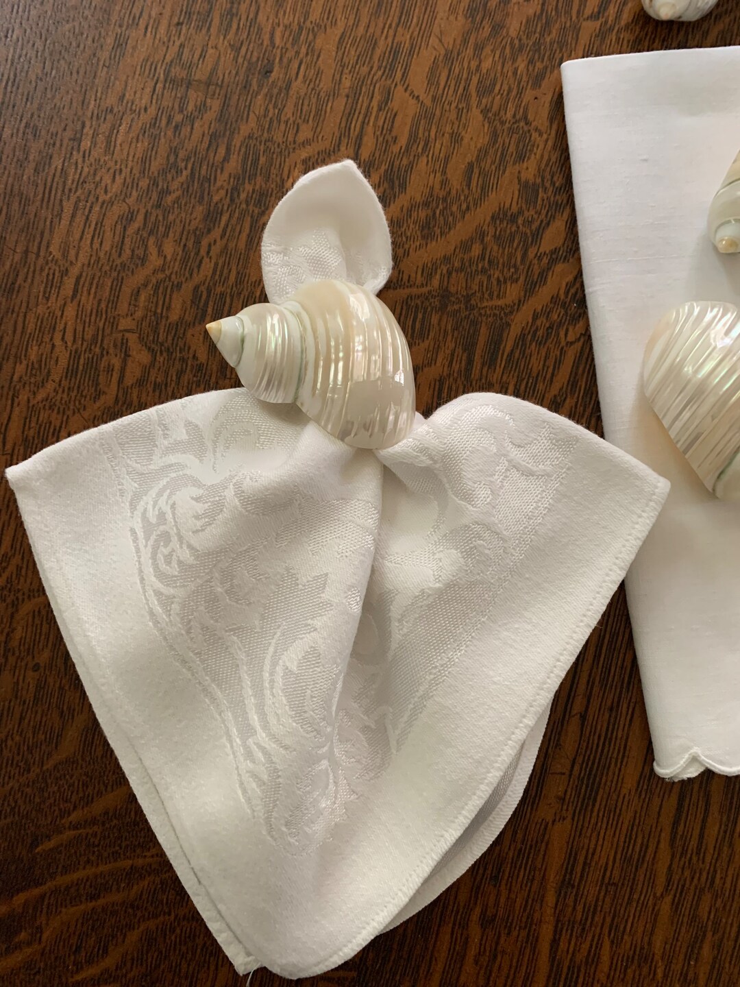 Set of 7 Sea Shell Napkin Rings - Etsy
