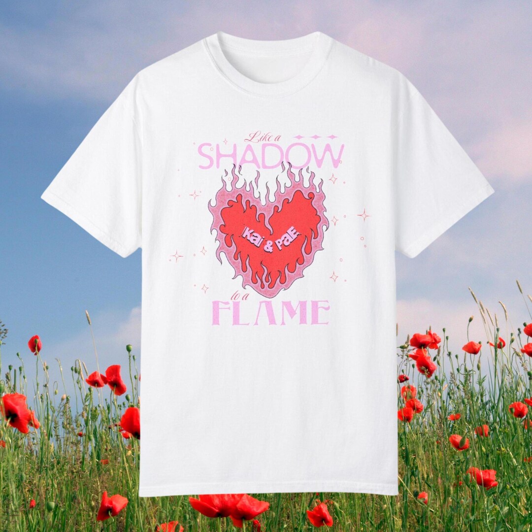 Reckless Inspired Book Merch "like a Shadow to a Flame" T-shirt ...