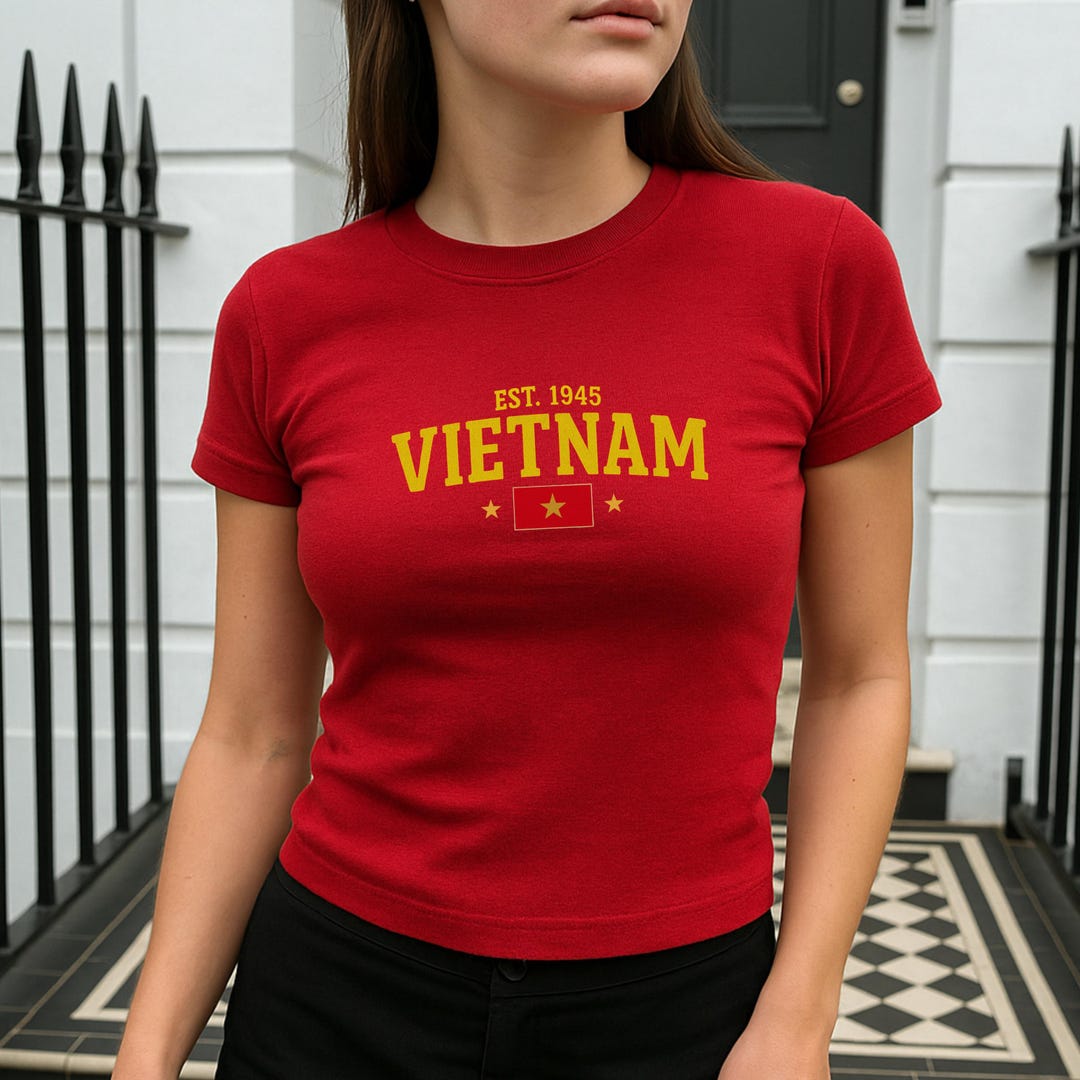 Vietnam Baby Tee, Việt Nam Y2K Crop Top, Vintage Hanoi Flag Shirt ...