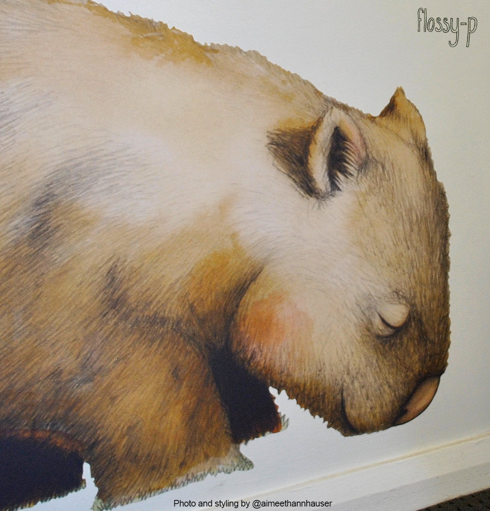 Giant Wombat Wall Decal Fabric Wall Sticker Facing Right. - Etsy
