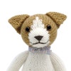 Chipmunk Knitting Pattern - Etsy