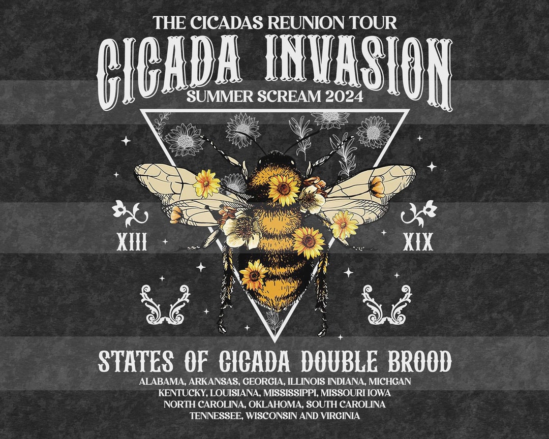The Cicadas Reunion Tour PNG, Cicadas Invasion Summer Scream 2024 ...
