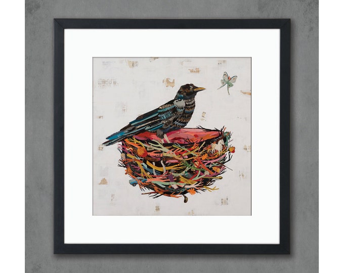 Antique 1880's Chromolithograph Print From Jacob Studer's Ornithology ...