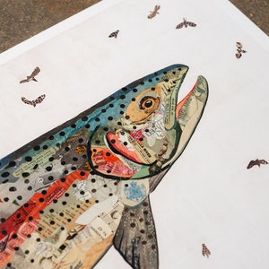 Rainbow Trout, II Limited Edition Paper Print - Etsy