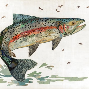 Rainbow Trout, II Limited Edition Paper Print - Etsy