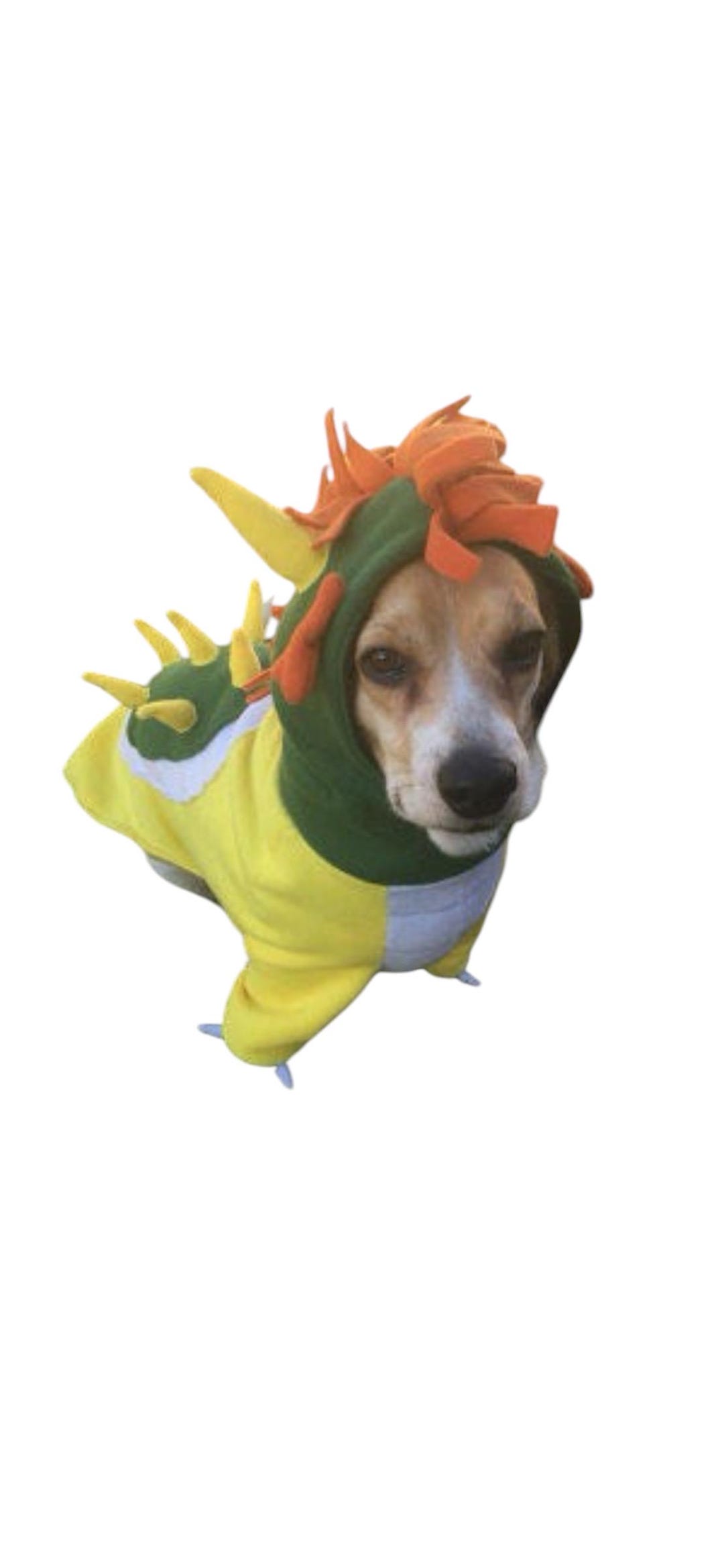 Bowser From Super Mario Pet Dog Costumes Sizes XS to XL - Etsy