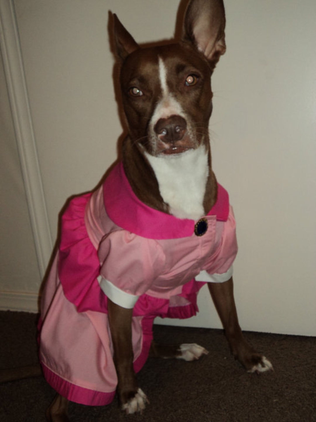 Princess Peach Pet Costume From Super Mario Brothers in XS to - Etsy