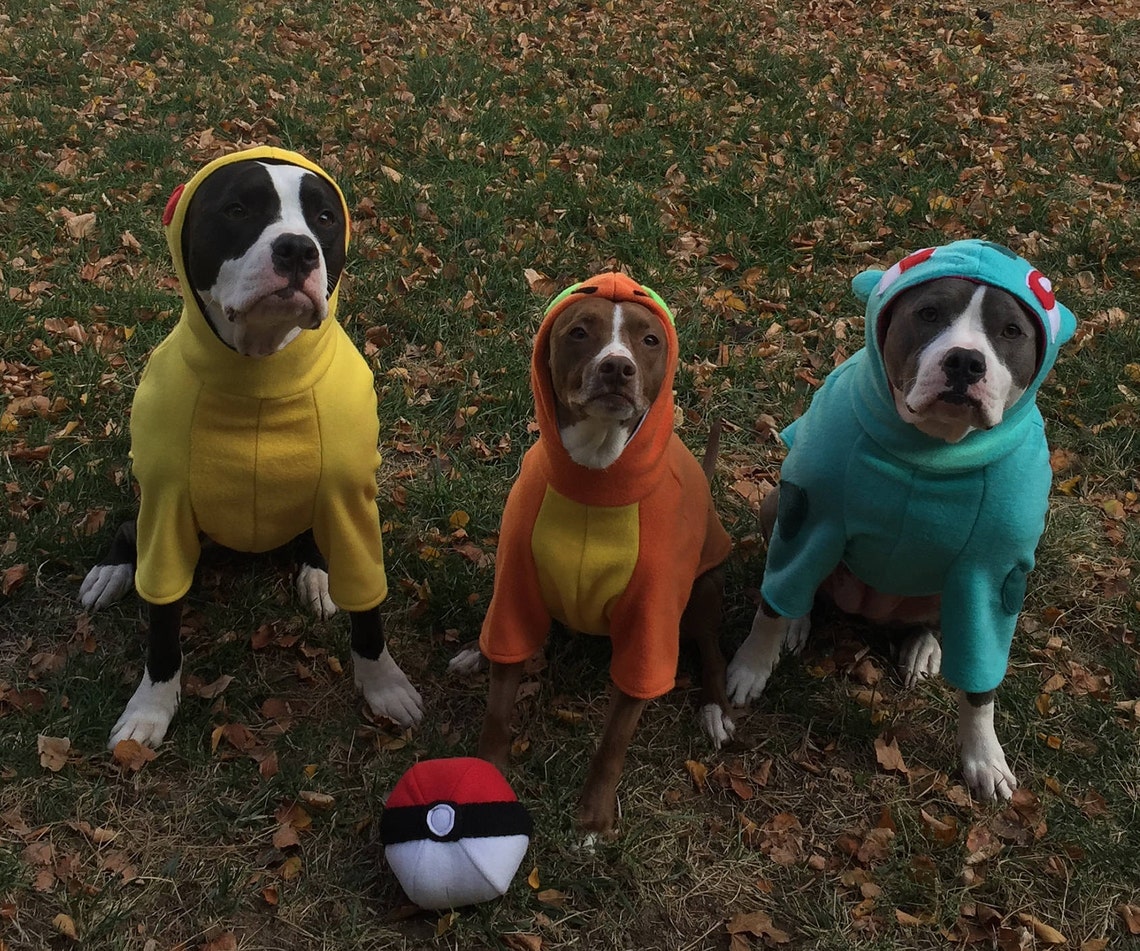 Pikachu From Pokemon Pet Dog Costumes Sizes XS to XL - Etsy