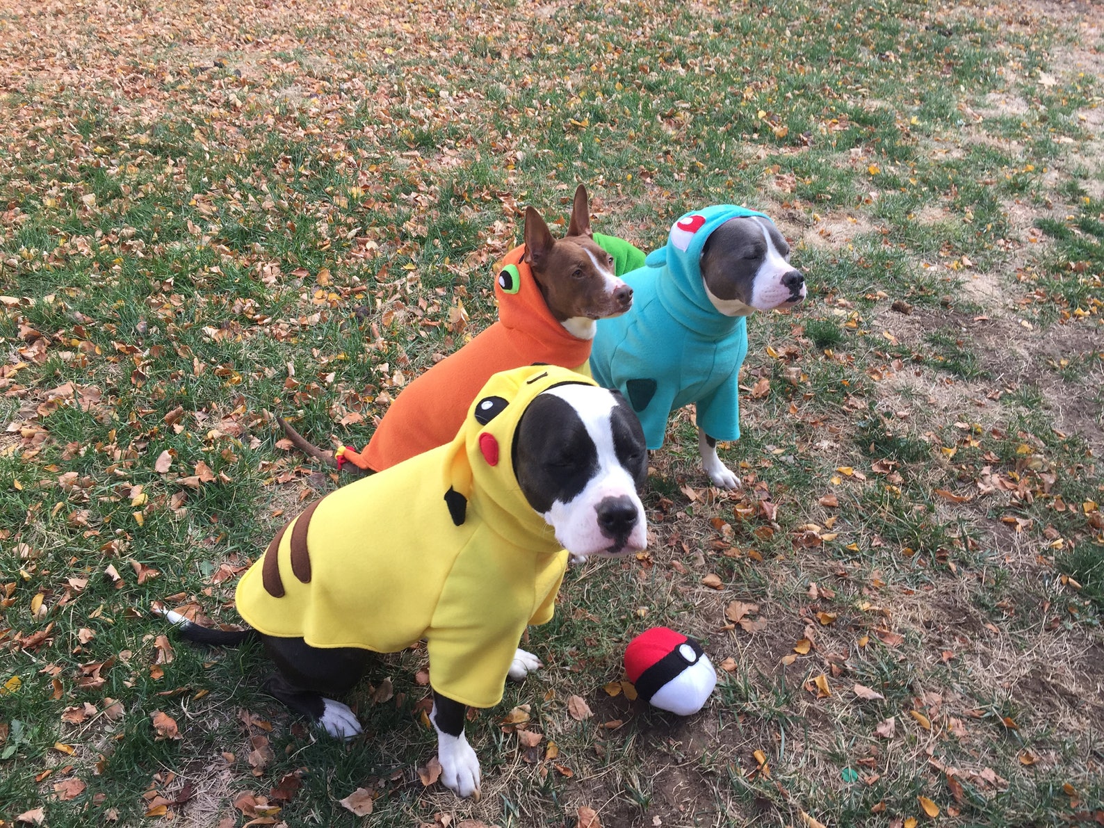 Pikachu From Pokemon Pet Dog Costumes Sizes XS to XL - Etsy