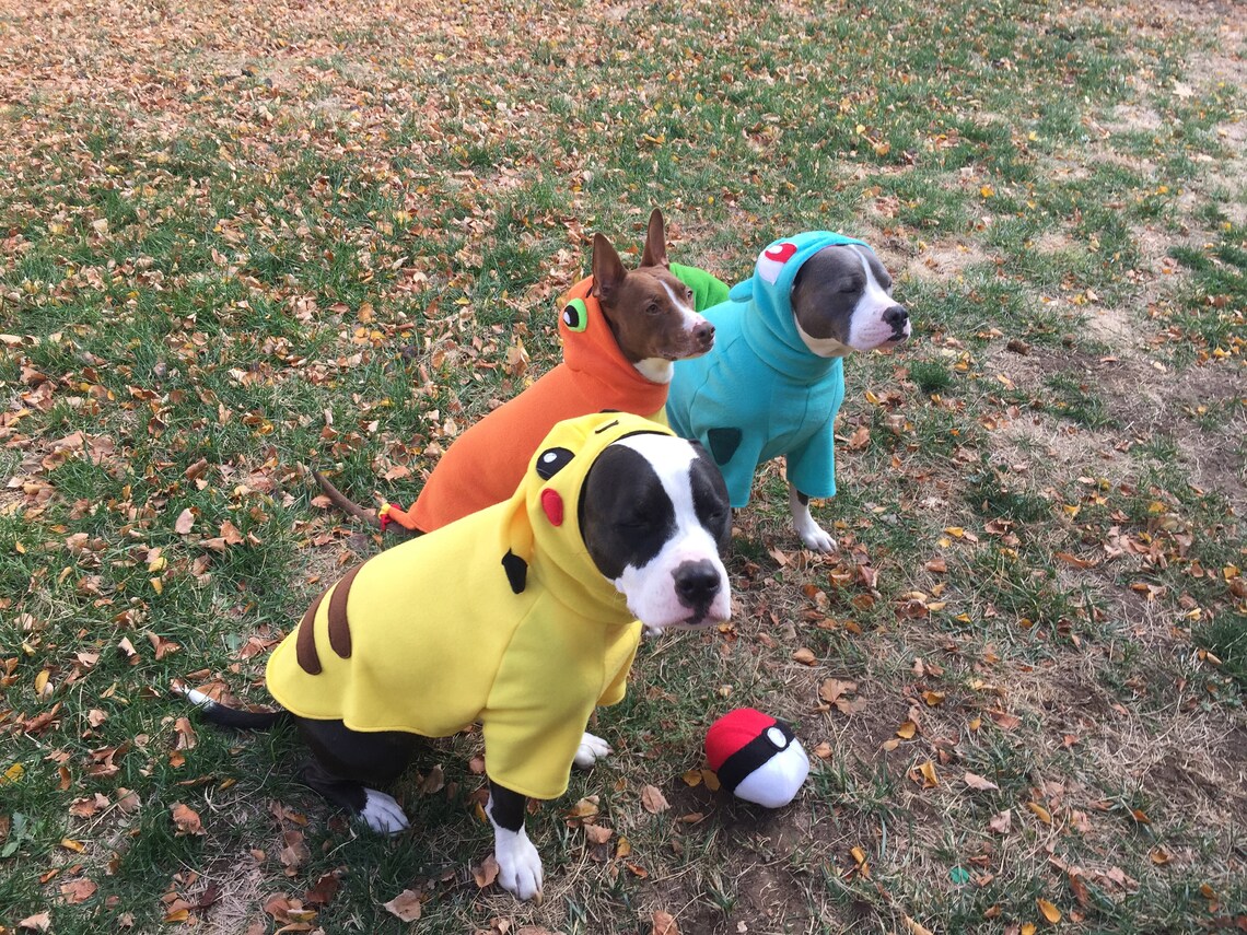 Bulbasaur From Pokemon Pet Dog Costumes Sizes XS to XL - Etsy