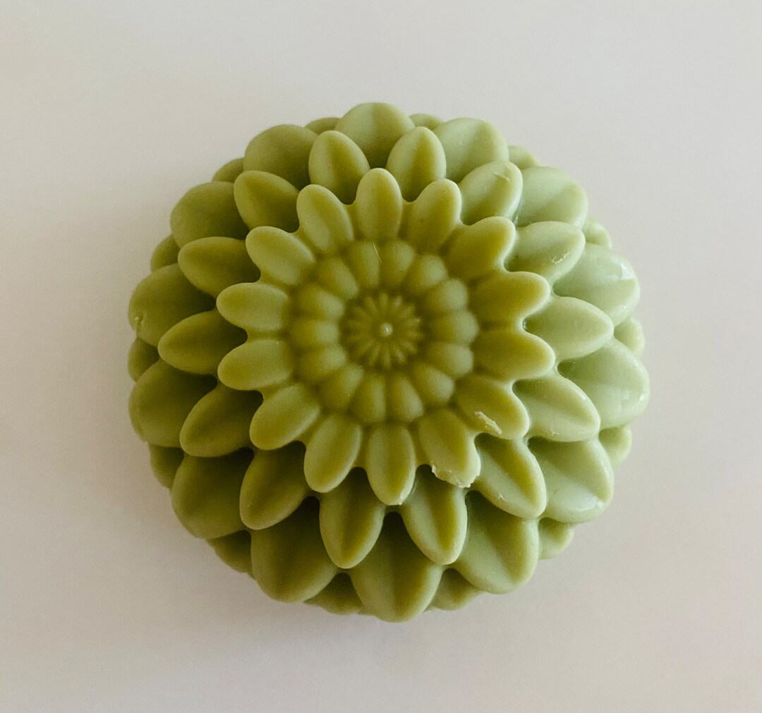 Arnica-infused Matcha Lotion Bars - Etsy