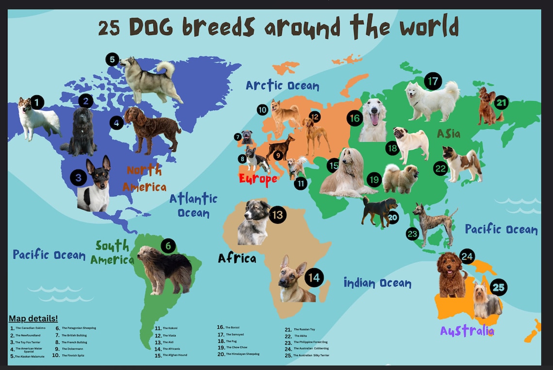 Dog World Map/ A World Map of Dog Breeds/ Dog Breeds Across the World ...
