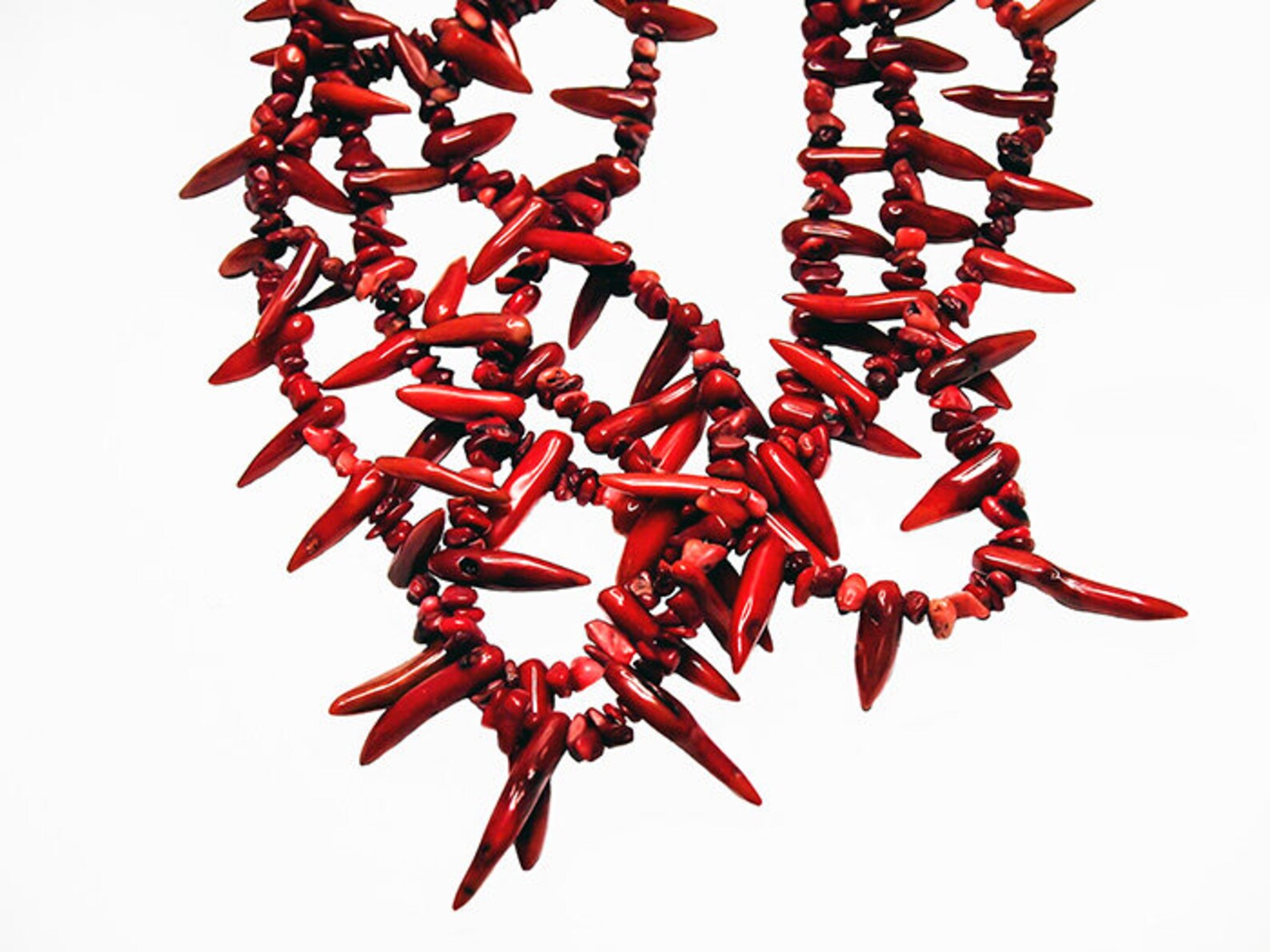 Red Bamboo Coral Talons Coral Beads Talon Beads Tusk Beads - Etsy