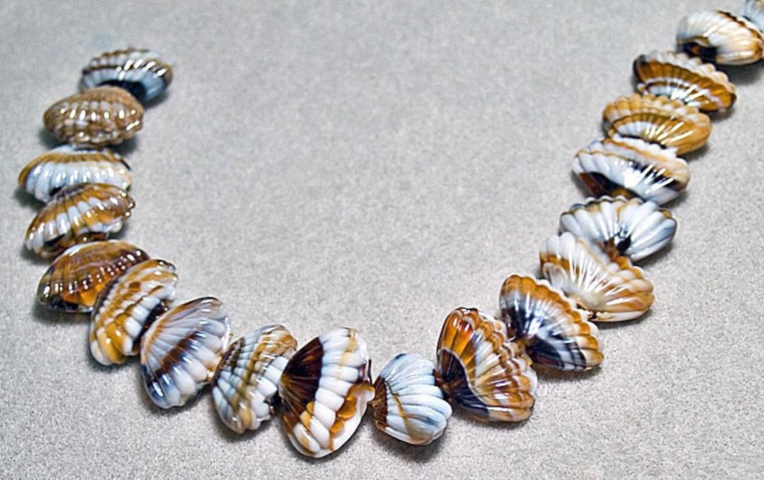 Summers on the Shore- Murano Style Shell Beads-glass Shell Beads-beach ...