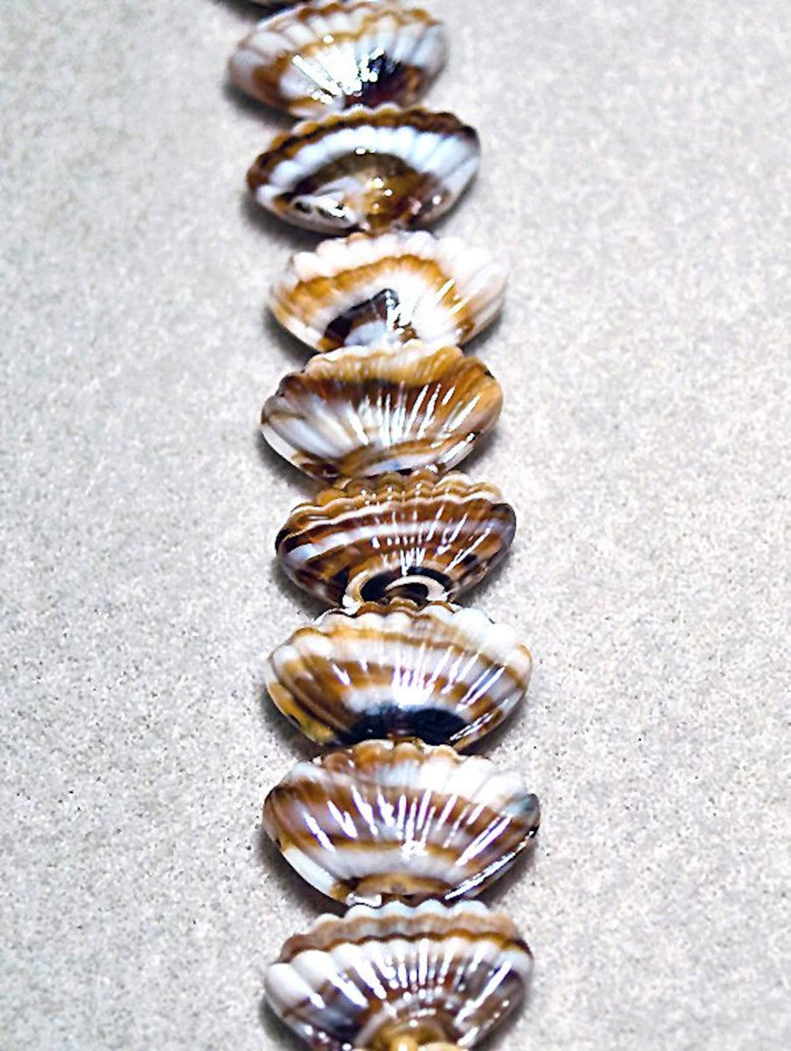 Summers on the Shore- Murano Style Shell Beads-glass Shell Beads-beach ...