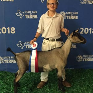 4-H Goat Collar Custom Made to Order | Personalize It for Your Goat or Club - Etsy