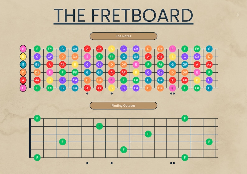 Guitar Fretboard Chart: Learn Notes & Chords (PNG Digital Download) - Etsy