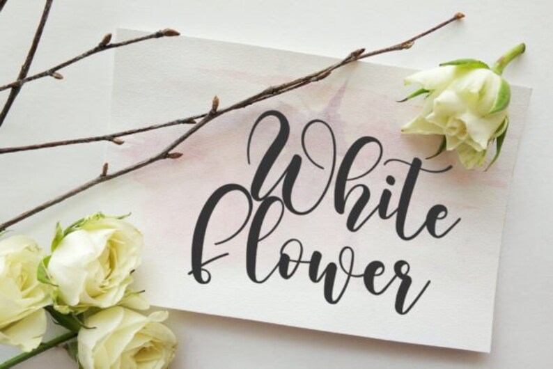 Virtual Font, Script Font, Beautiful Font, Vintage Font, Retro Font ...