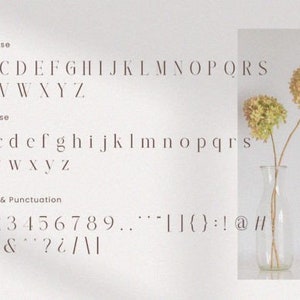 Saignh Font, Display Font, Vintage Cricut Font, Font Bundle for Cricut, Groovy Font, Farmhouse ...