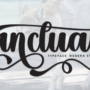 Sanctuary Font, Note Font, Cute Font, School Font, Branding Font, Kids ...
