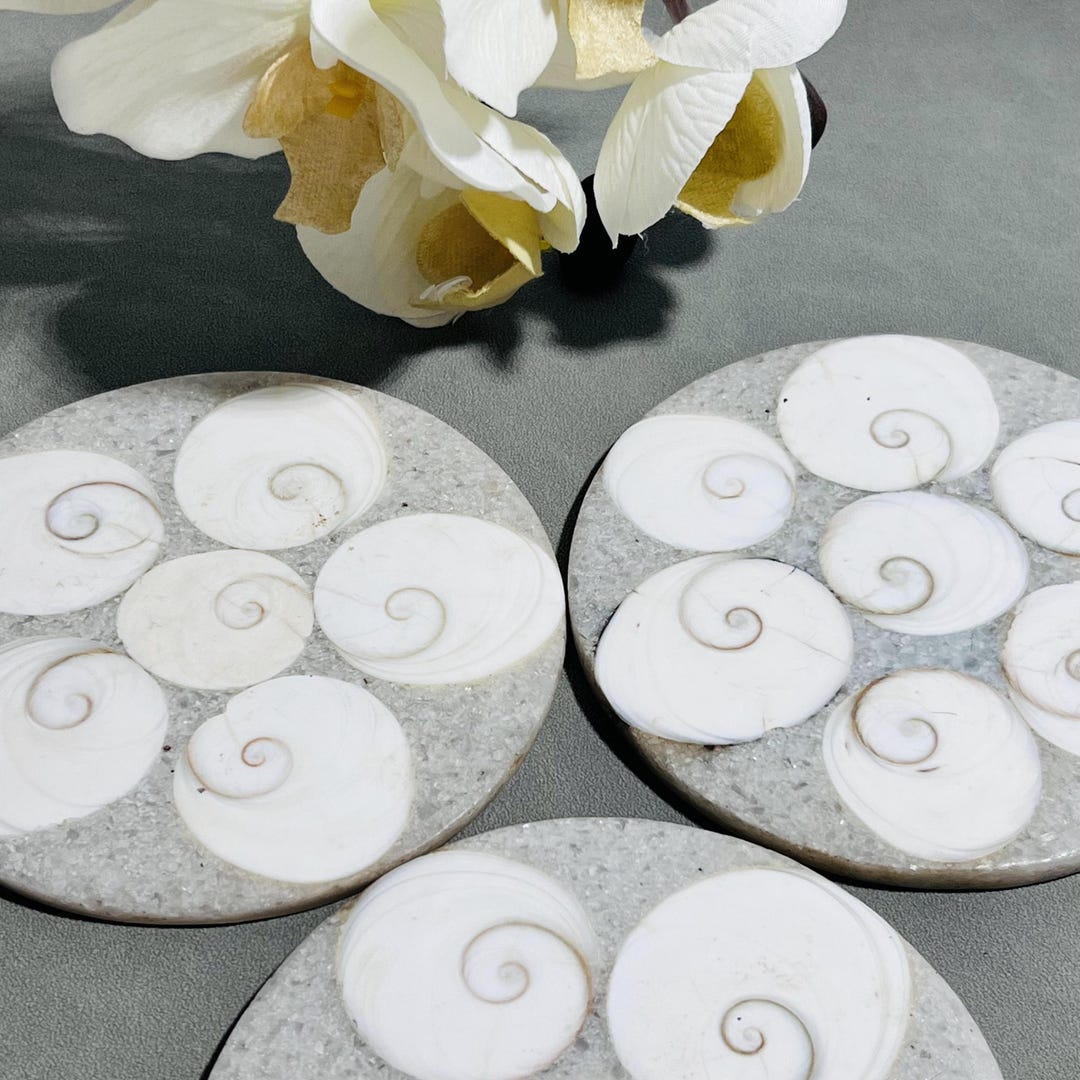 Round Shell Fossil Plate From Madagascar – A Timeless Slice of Ancient ...