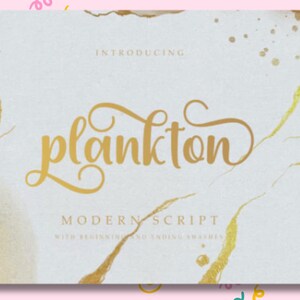 Plankton Font, Script Font, Beautiful Font, Vintage Font, Retro Font, Calligraphy Font, Classic ...