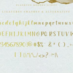 Plankton Font, Script Font, Beautiful Font, Vintage Font, Retro Font, Calligraphy Font, Classic ...