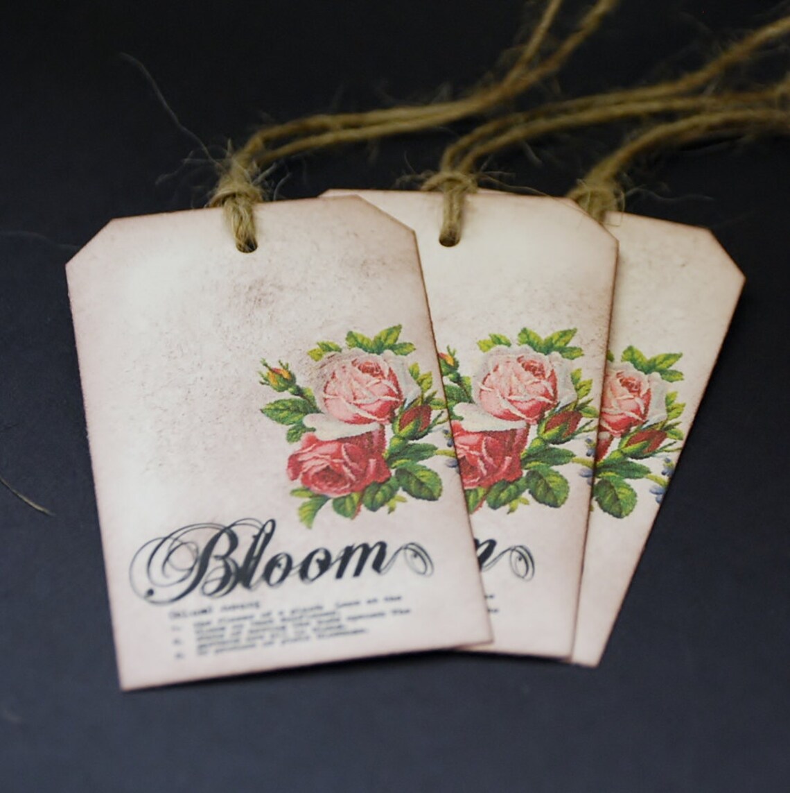 Roses in Bloom Vintage Rose Hang Tags Set of 8 - Etsy
