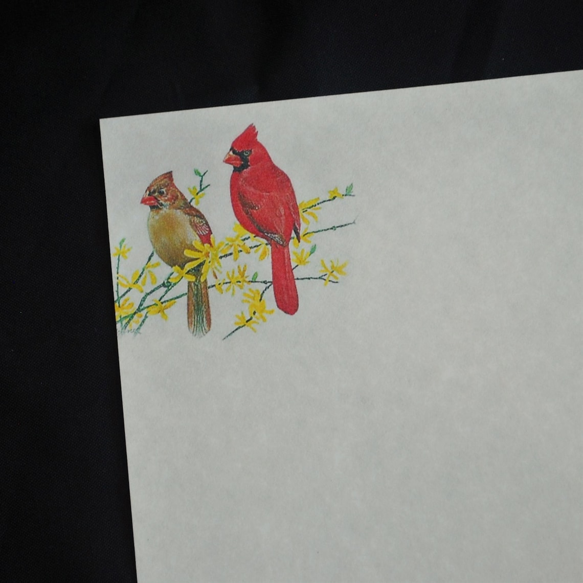 Cardinal Pair Fine Stationery Set 5.5 X 8.5 Parchment - Etsy