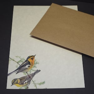 Warbler Pair, Gold Birds, Stationery Set, 5.5 X 8.5, Letter Writing ...