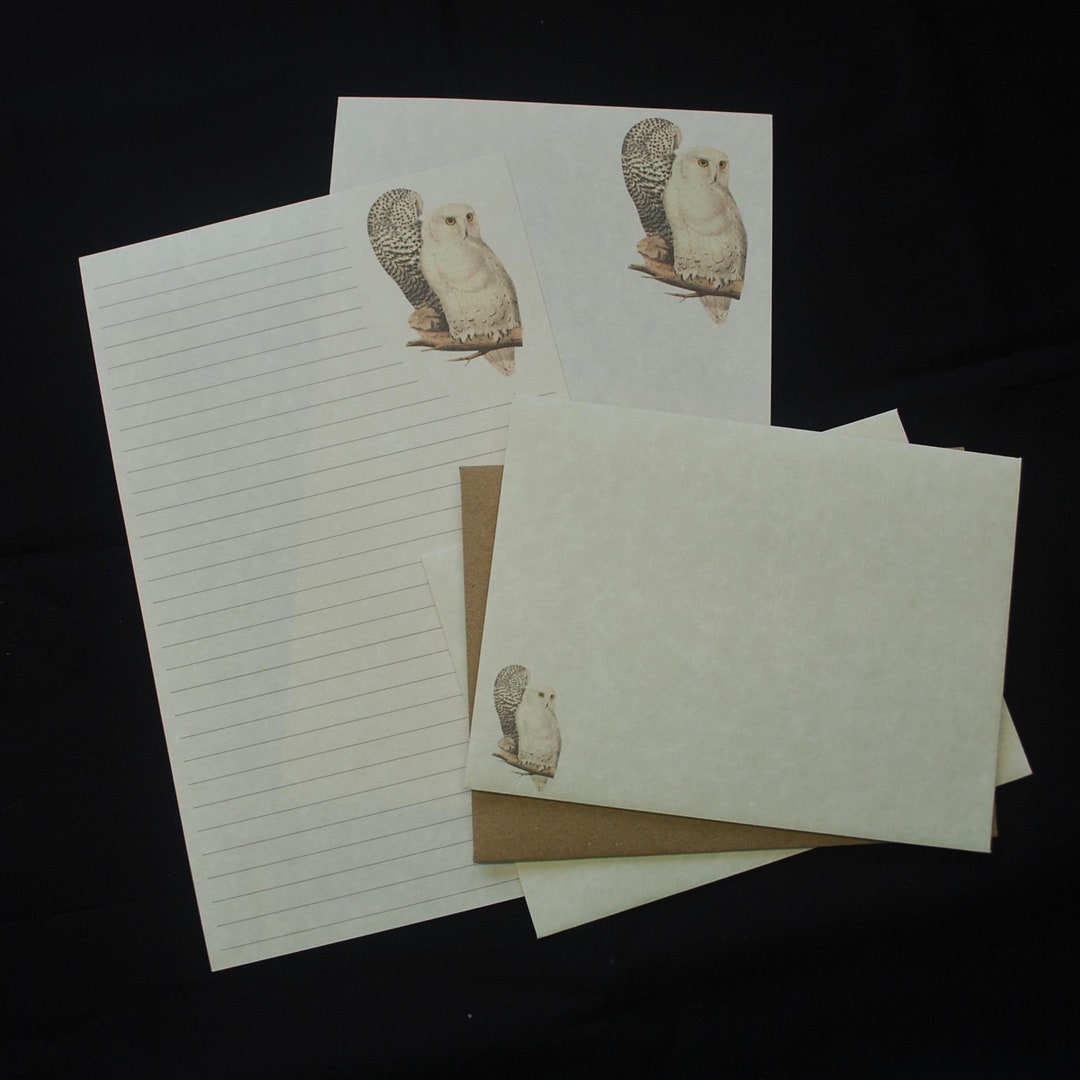 Owl 2, Stationery Set, 5.5 X 8.5, Snowy Owl, Bird, Writing Set ...