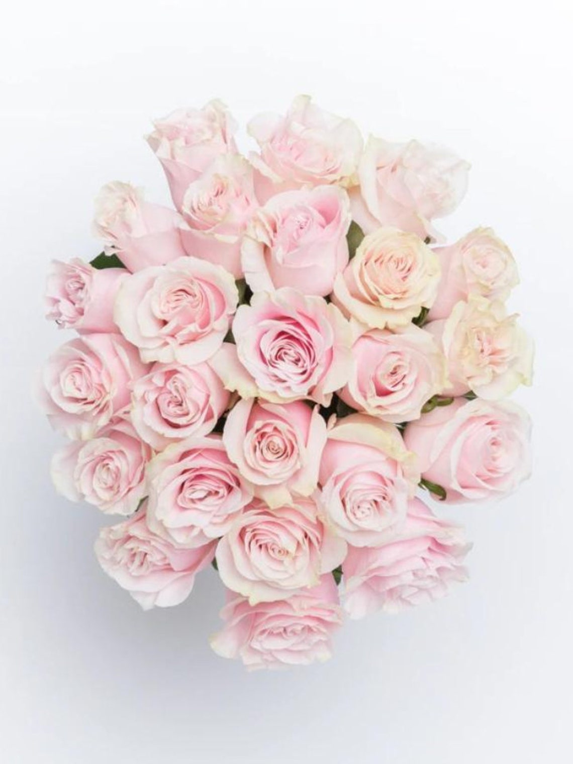 Fresh Rose Bouquet, Fresh Roses, Red Roses, Pink Roses, White Roses ...