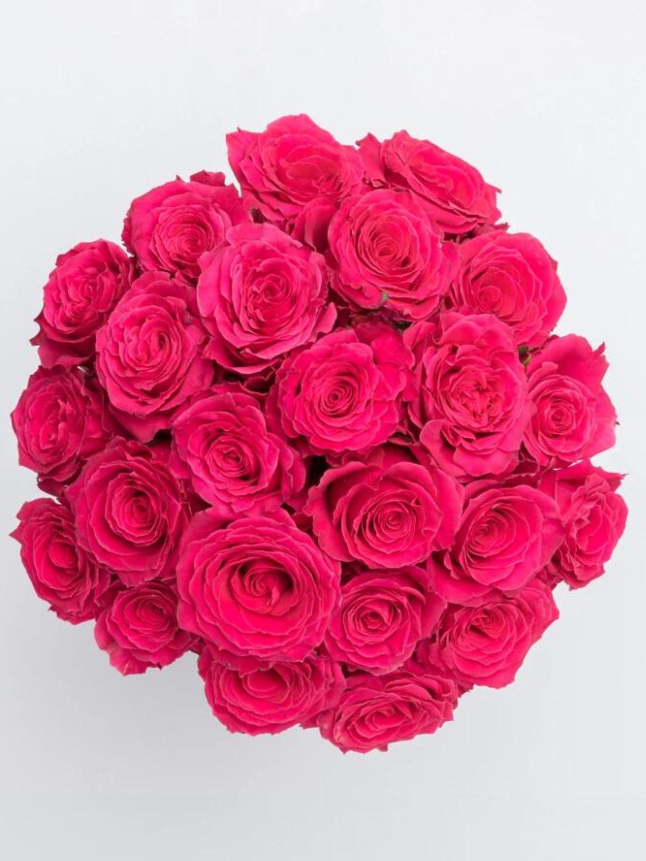 Fresh Rose Bouquet, Fresh Roses, Red Roses, Pink Roses, White Roses ...