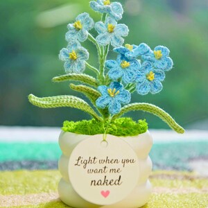 Crochet Forget-me-not Night Light, Handmade Flower Lamp, Personalized ...