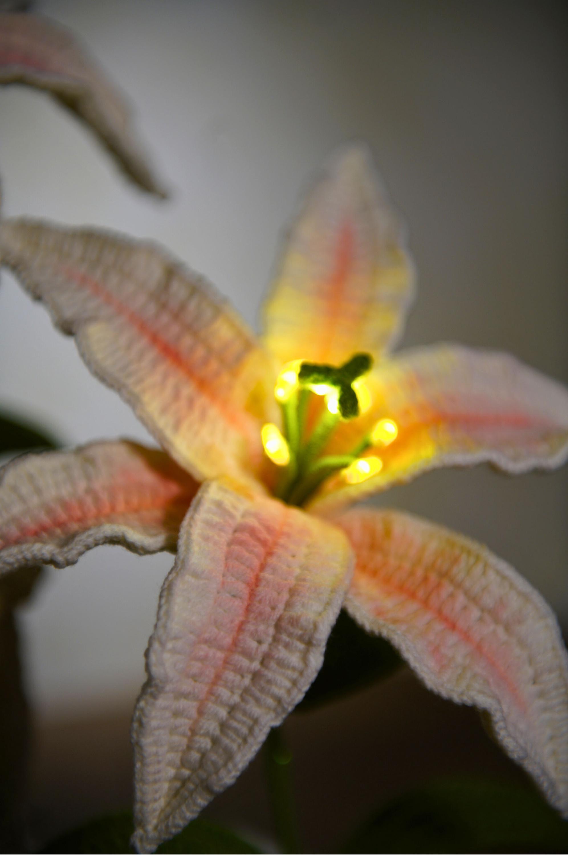 Crochet Lily Flower Lamp, Handmade Birth Flower in Pot, Knitted Flower ...