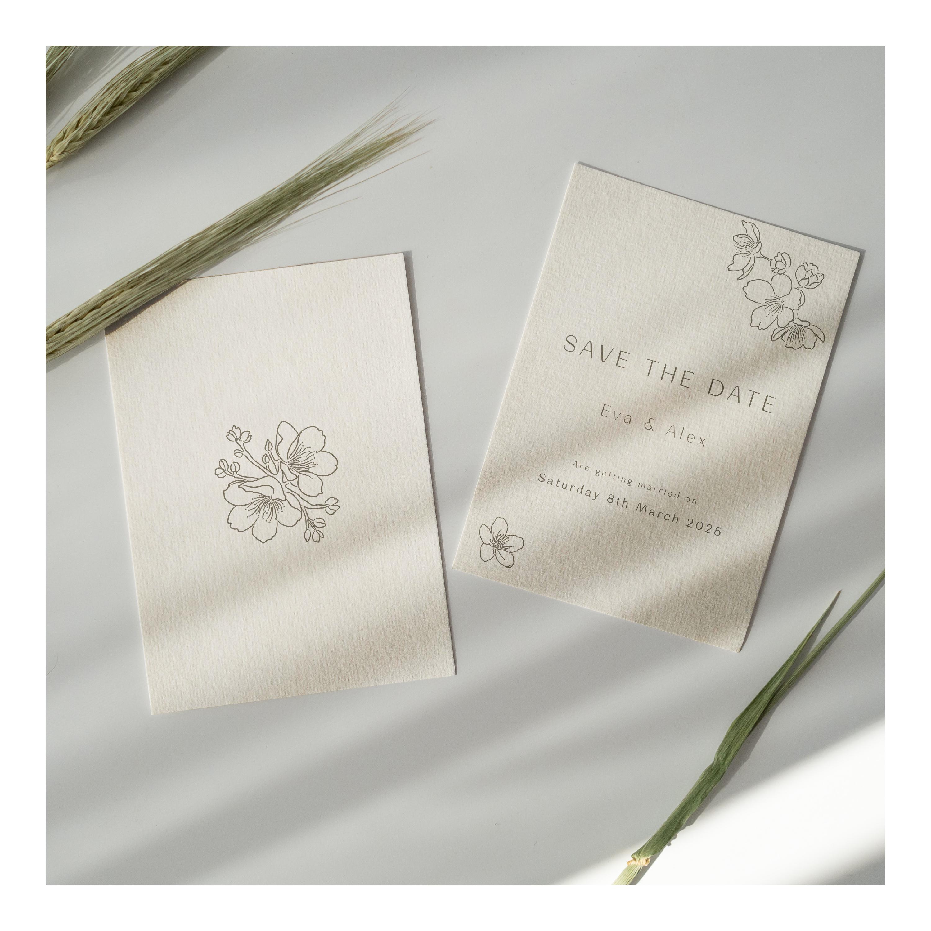 Sakura Cherry Blossom Hand Drawn Flowers, Minimal Lineart Illustrations ...