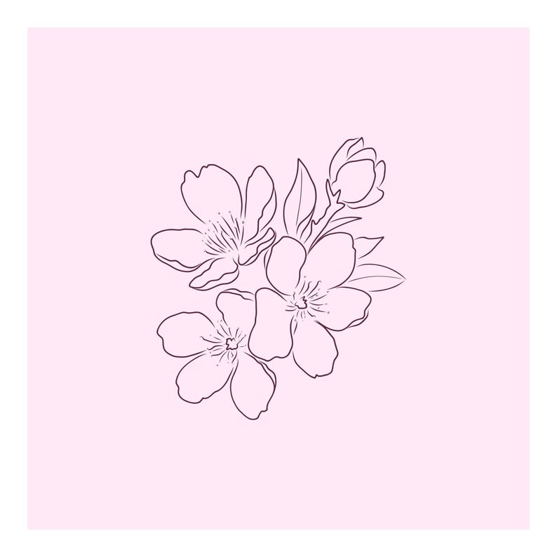 Sakura Cherry Blossom Hand Drawn Flowers, Minimal Lineart Illustrations ...