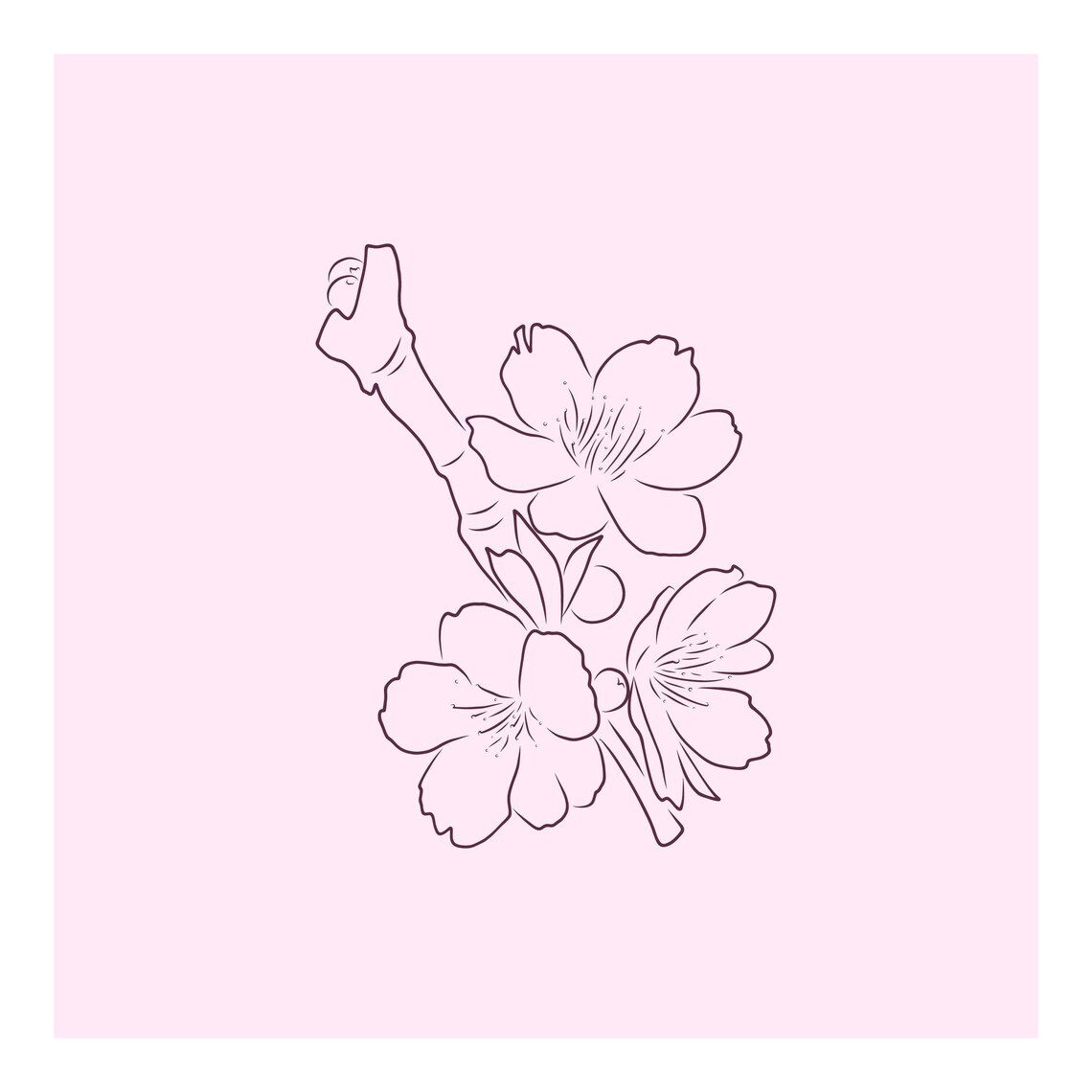 Sakura Cherry Blossom Hand Drawn Flowers, Minimal Lineart Illustrations ...